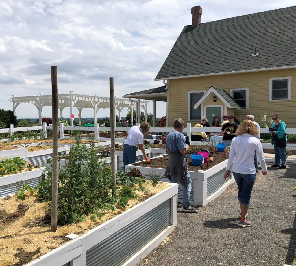 Teaching Vegetable Garden – Broomfield County Extension
